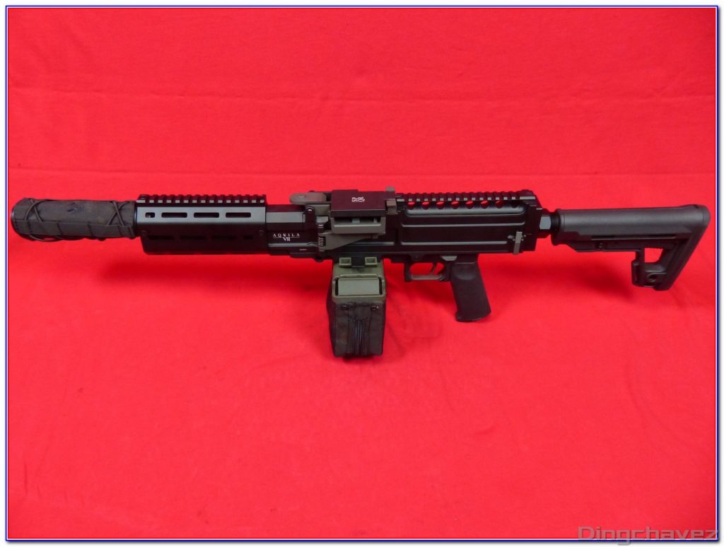 L'antre du Dingo » AEG